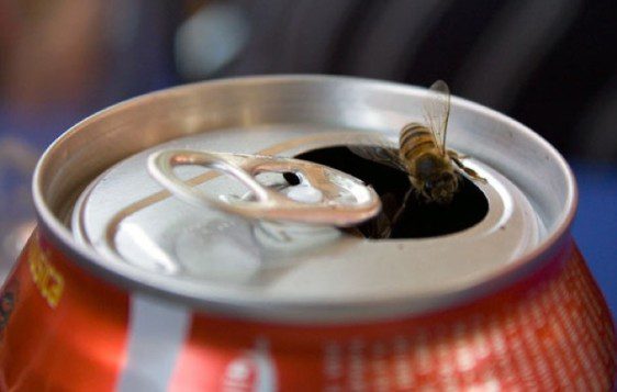 14 Unbelievable Facts About Coke The Company Does NOT Want You To Know ...