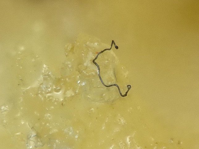 These Scientists Studied Chicken McNuggets Under A Microscope. You Will ...