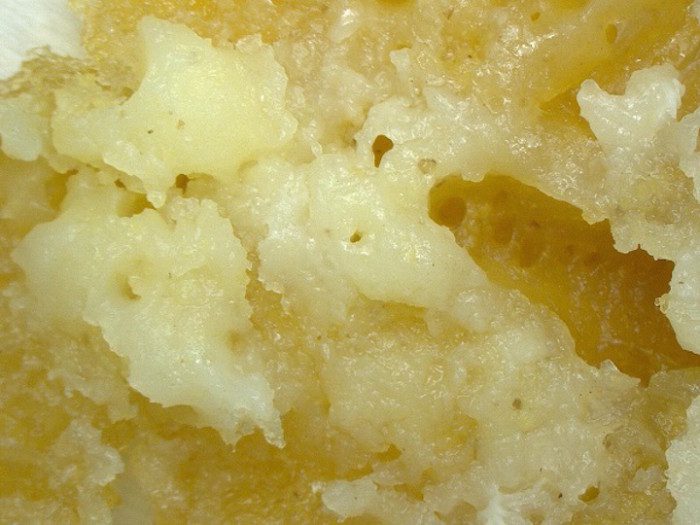 These Scientists Studied Chicken McNuggets Under A Microscope. You Will ...